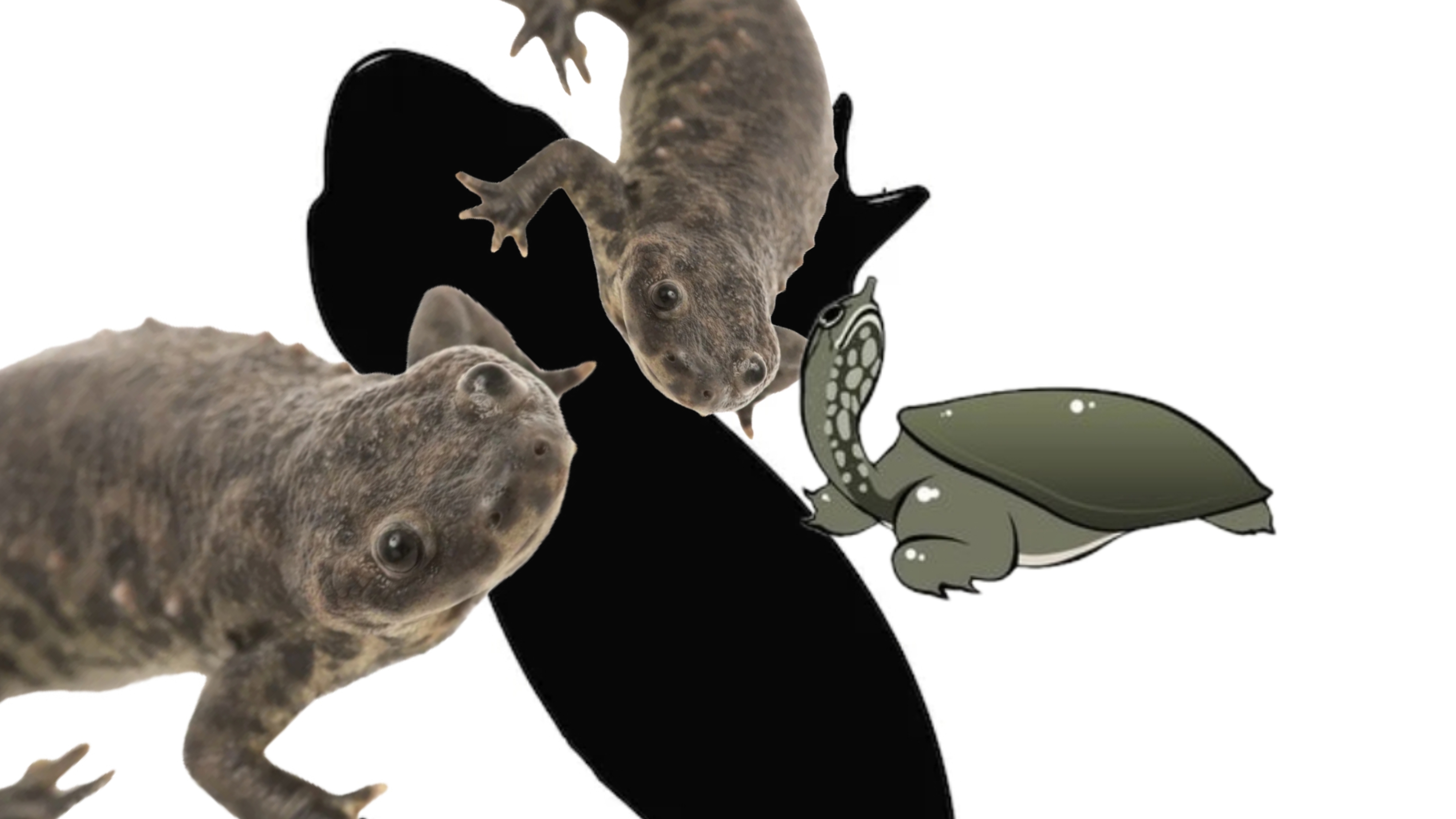 Игра  " Творение Сонарии"