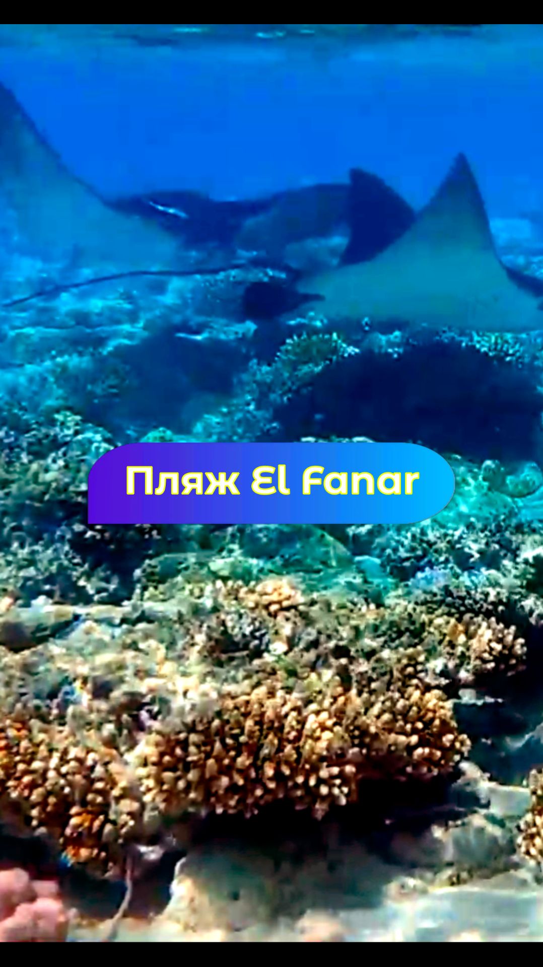 #Пляж El Fanar#Sharm El Sheikh#Egypt