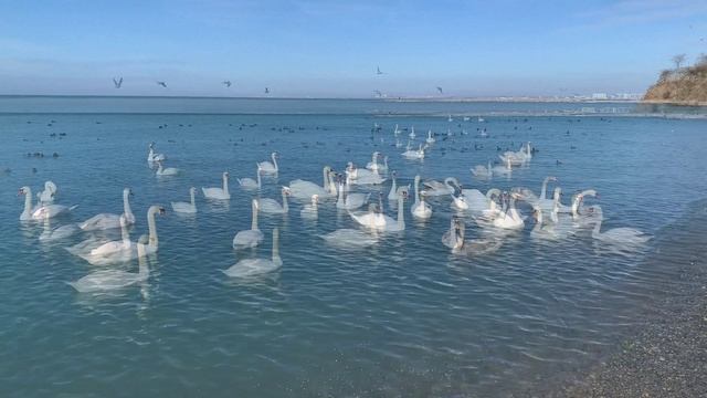 07.02.2026 Анапа море