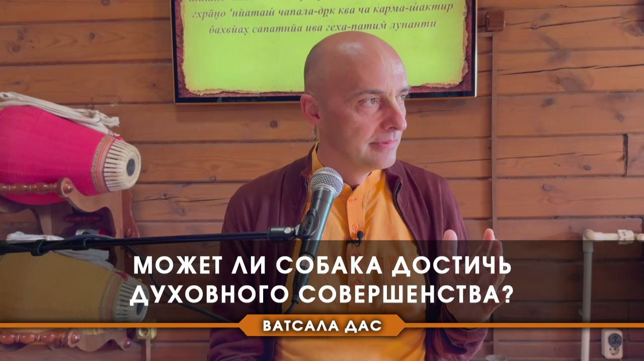 Может ли собака достичь духовного совершенства