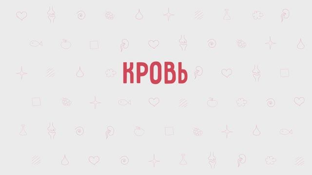 3.06 - Кровь