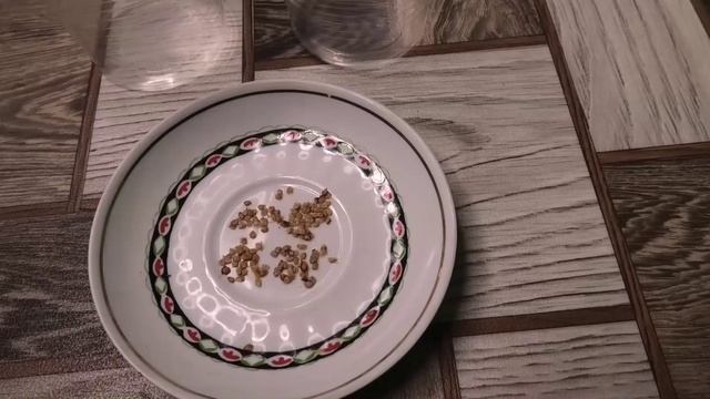 Посев ранних помидоров на рассаду