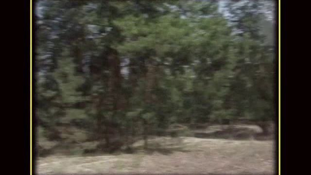 Раскрывая горизонты. Велопробег Сасово-Мыс-Липовка-Кадом (2011 г.)