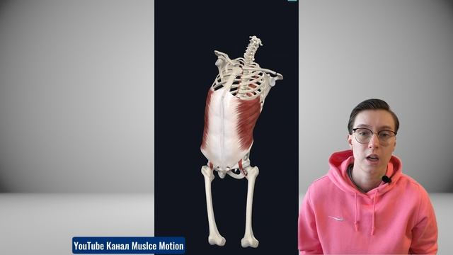 Как спортсмену тренировать кор_Лекция 1