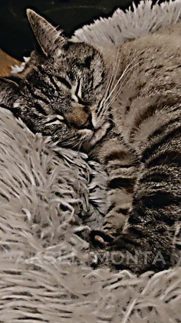 Эдит с Акселем💗