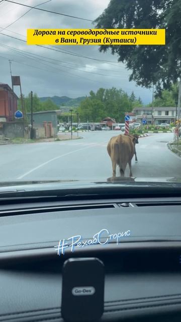 дорога на сероводородные источники в Вани
