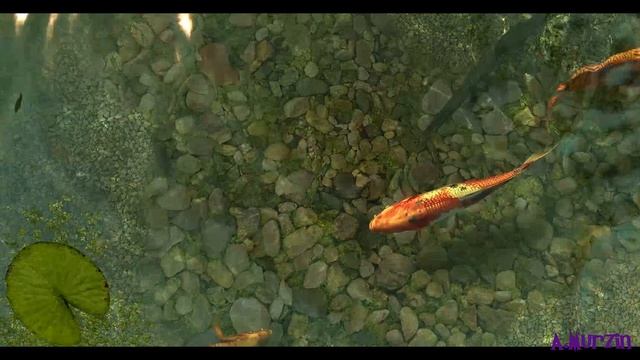 Masterminds Of Miracles 058 (All India Radio) Part 1