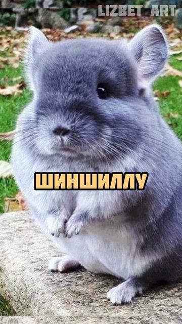 Рисую несуществующее животное🦊+🐹=❓(ч.123) #tiktok #shorts #art #gouach