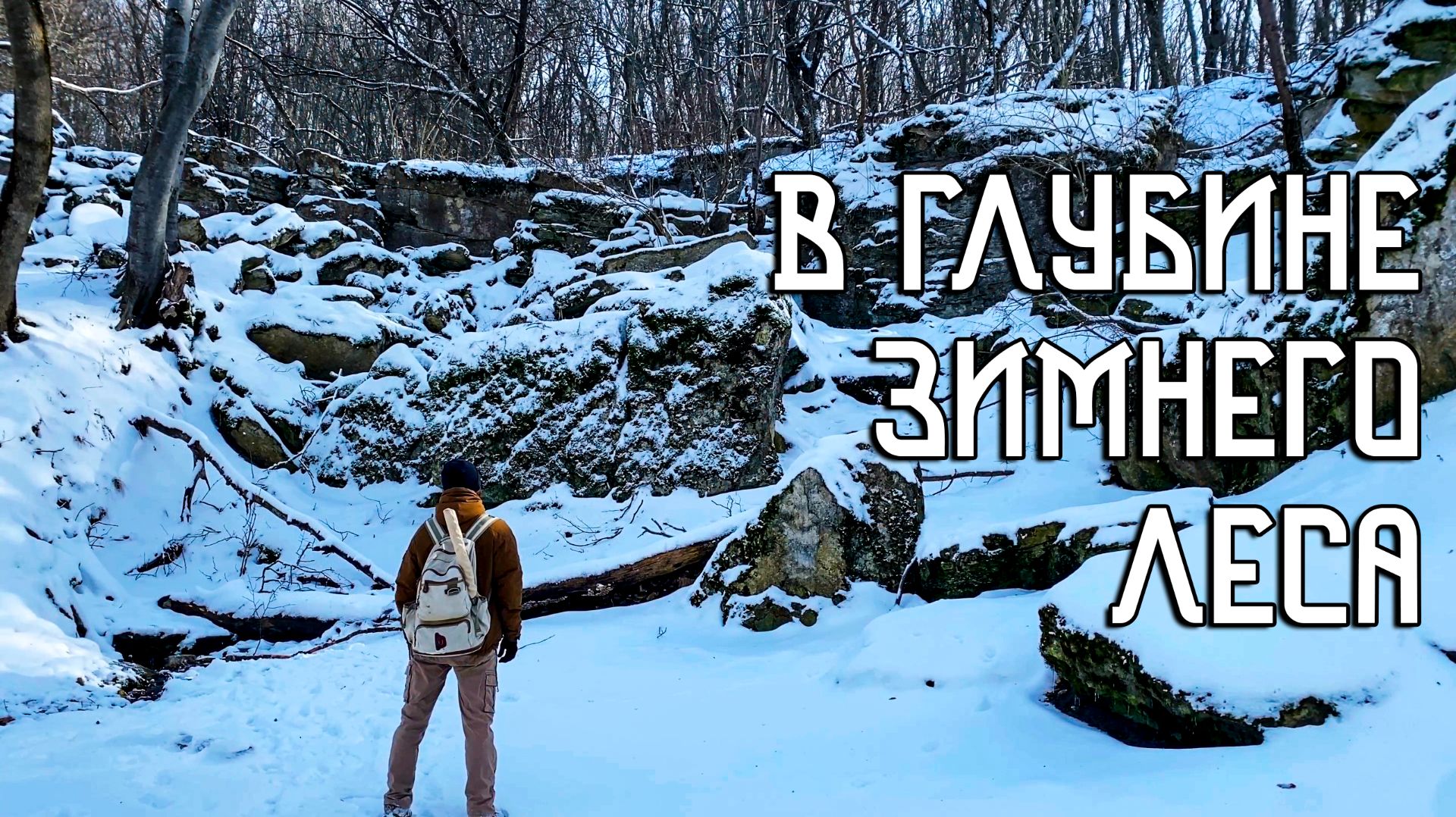 В глубине зимнего леса / Ветер гнёт и ломит деревья / Звериные тропы