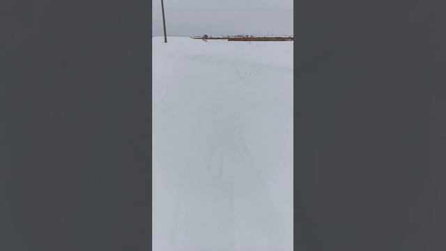 трансляция большого кушума