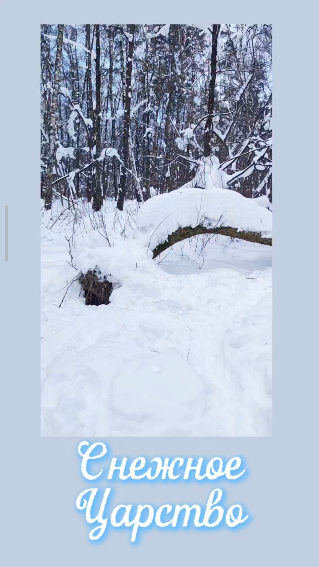 Снежное Царство 8.02.2026 года.