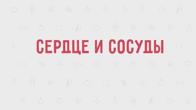 3.07 - Сердце и сосуды
