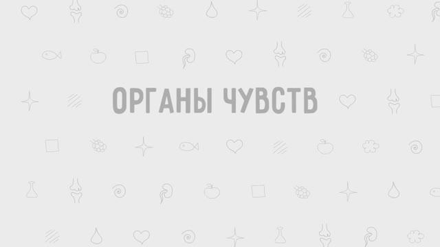 3.15 - Органы чувств