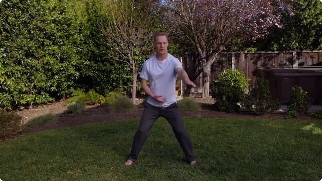 Современный цигун Упражнения Стихия Земля Уровень 3 Продвинутый Ли Холден