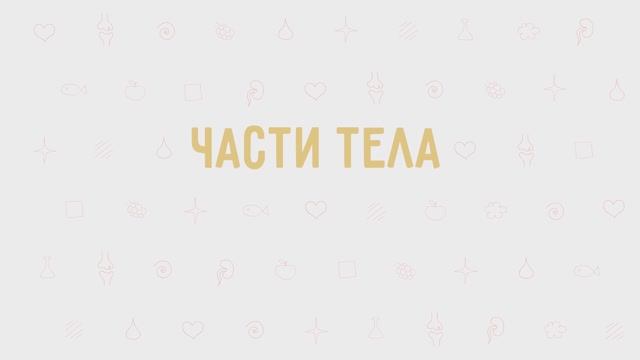 3.01 - Части тела