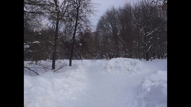 Зимний сюжет