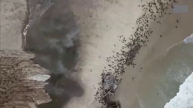 10 Невероятных находок в Африке которые потрясли Мир.