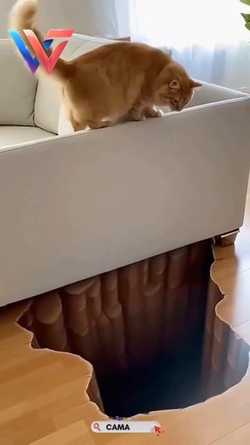 Кошачий 3D ART