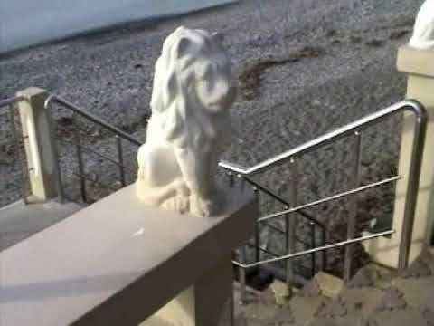 Сочи. Военный санаторий "Лазурный берег". Декабрь 2025 года. Пляж