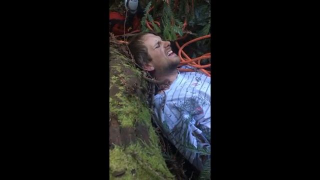 Падение арбориста с дерева N1