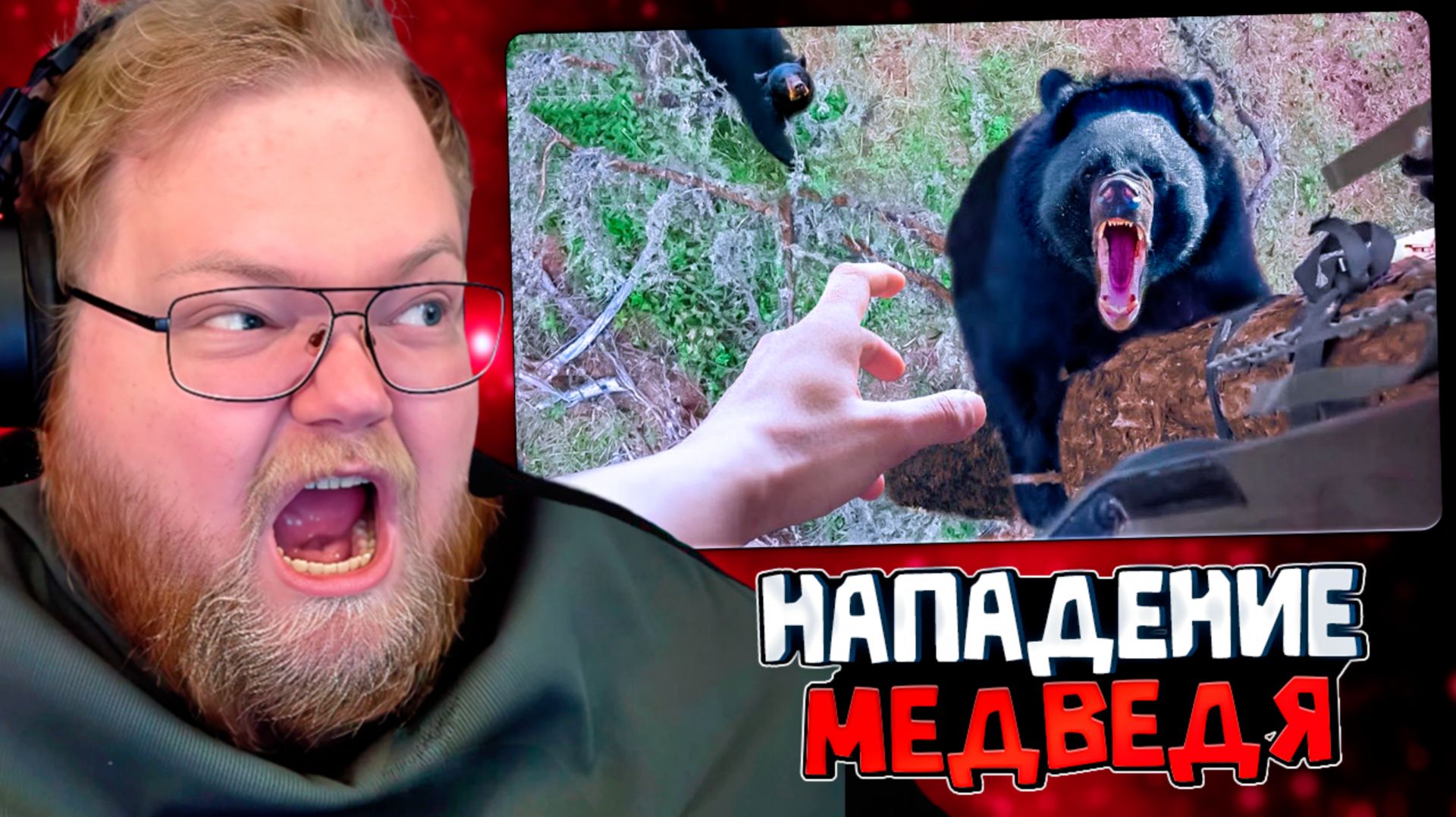 T2x2 СМОТРИТ: Случаи с Медведем, Которые Лучше не Смотреть Одному // РЕАКЦИЯ Т2х2