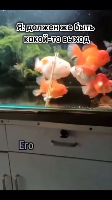 Психолог Александра Боровиков