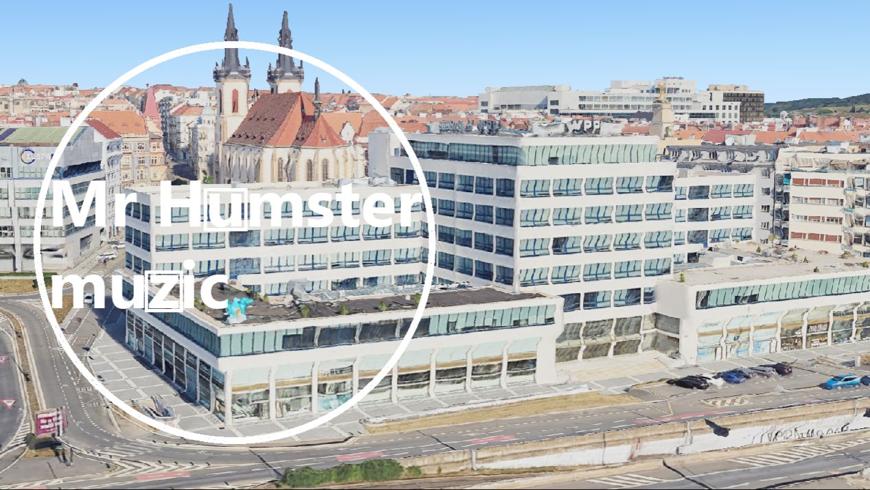 Mr Humster muzic / bass 8