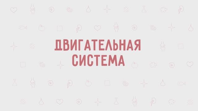 3.04 - Двигательная система