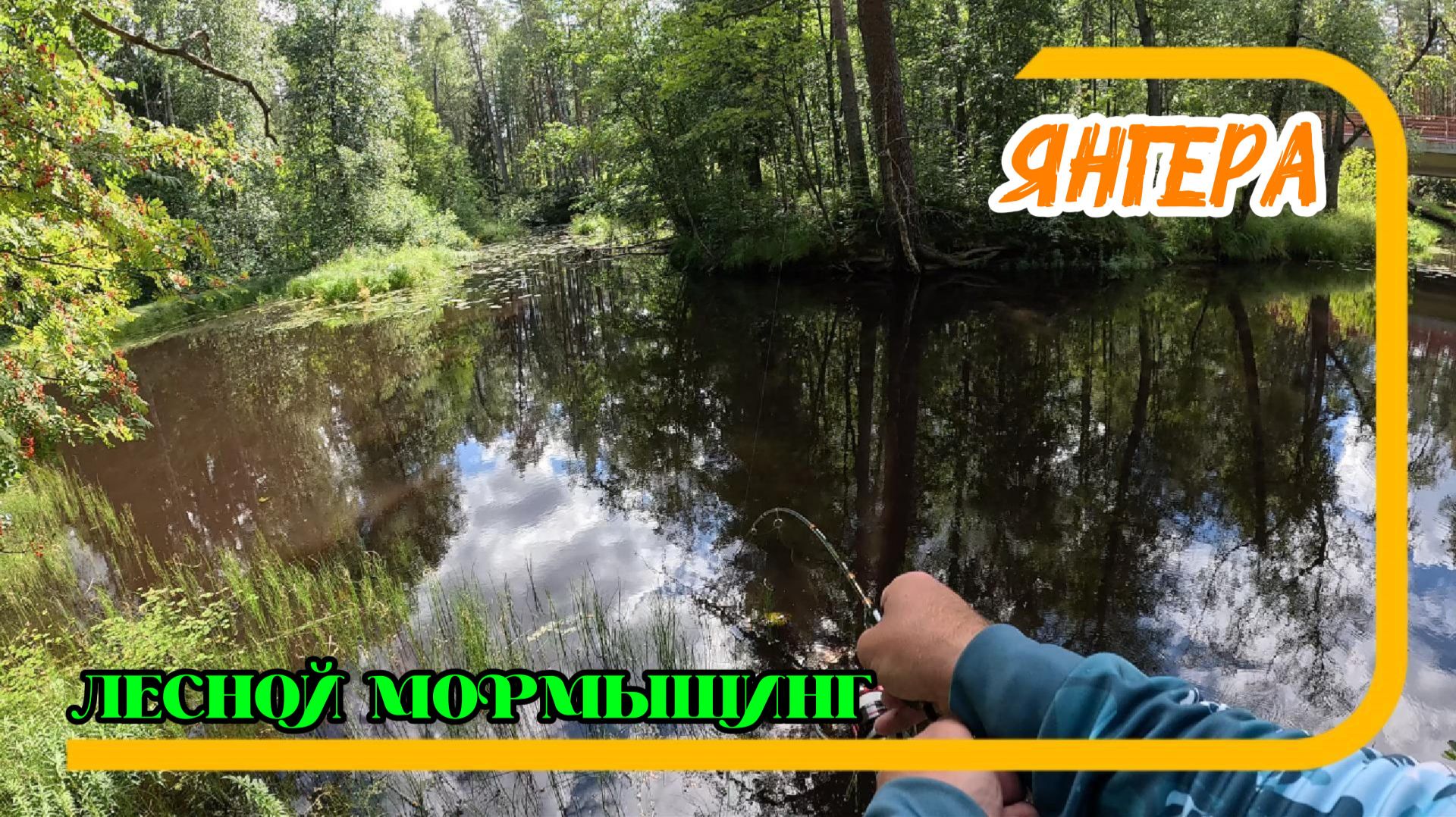 Малые реки Ленобласти: Янгера. Лесной мормышинг