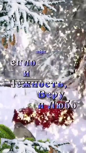 #видео #пожелания #katyboro #рекомендации #врек #топ #рутуб #2026 #сдобрымутром