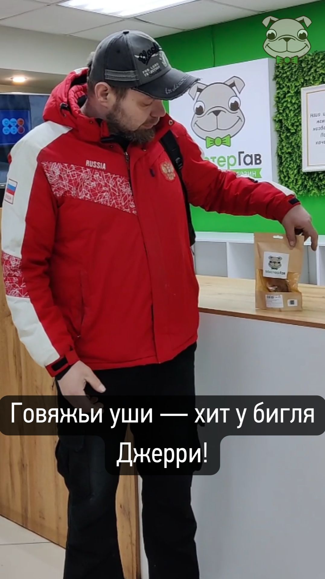 Говяжьи уши для собак: бигль Джерри в восторге | Мистер Гав Челябинск