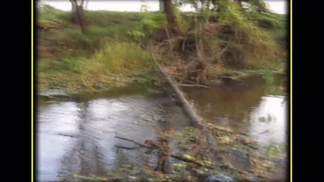 Турклуб Раскрывая горизонты. Сплав по реке Средник (2011)