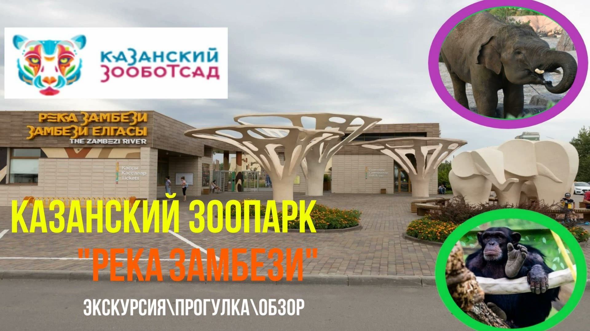 КАЗАНСКИЙ ЗООПАРК - "Река Замбези" Небольшой видеообзор 2023