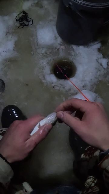 Рыбалка на белом море! Ловля наваги! (конец 2025)