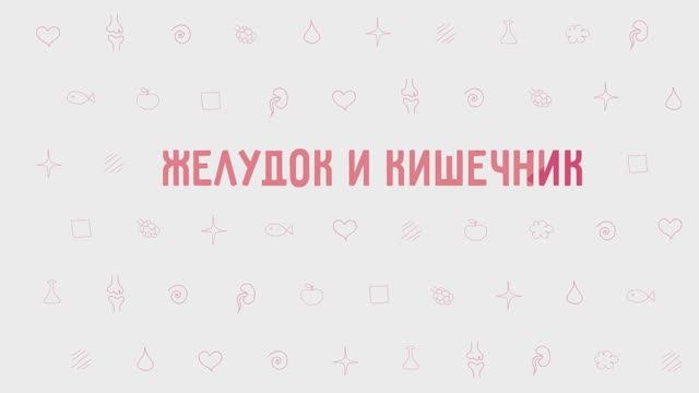 3.12 - Желудок и кишечник