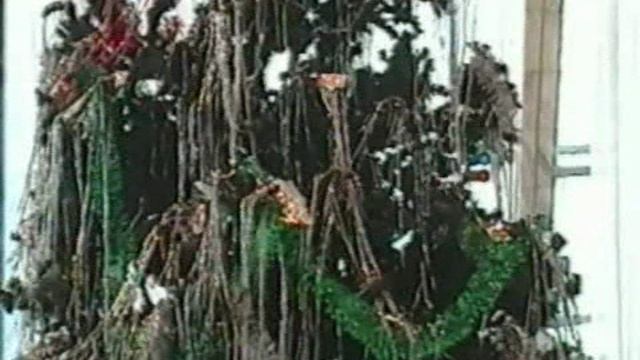 Новый 2006 год БКЗ