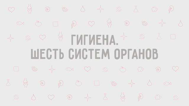 3.16 - Гигиена. Шесть систем органов