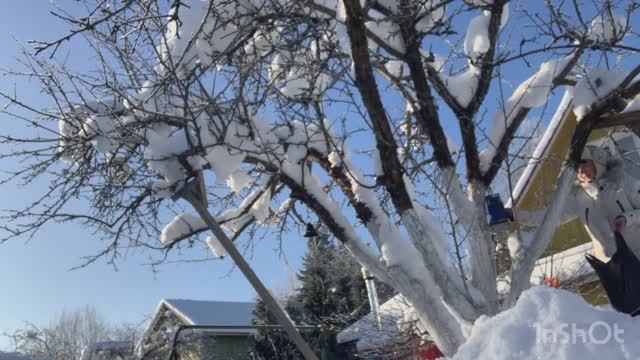 Поездка на дачу 7 февраля | мороз и солнце