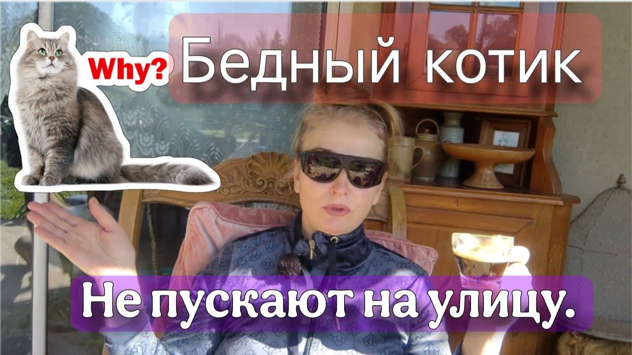 Кота не пускают на улицу: правильно ли это?