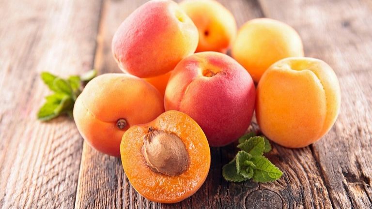 Почему не растёт абрикос в Турочаке?