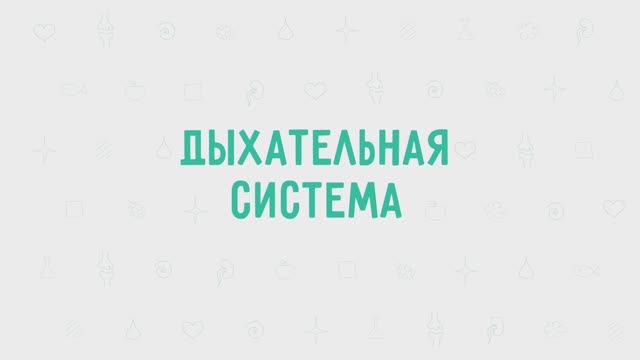 3.09 - Дыхательная система