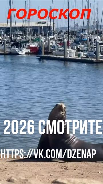 #прогноз  #затмения #астрологияисамопознание  #гороскоп_близнецы #music #electronicmusic #2026