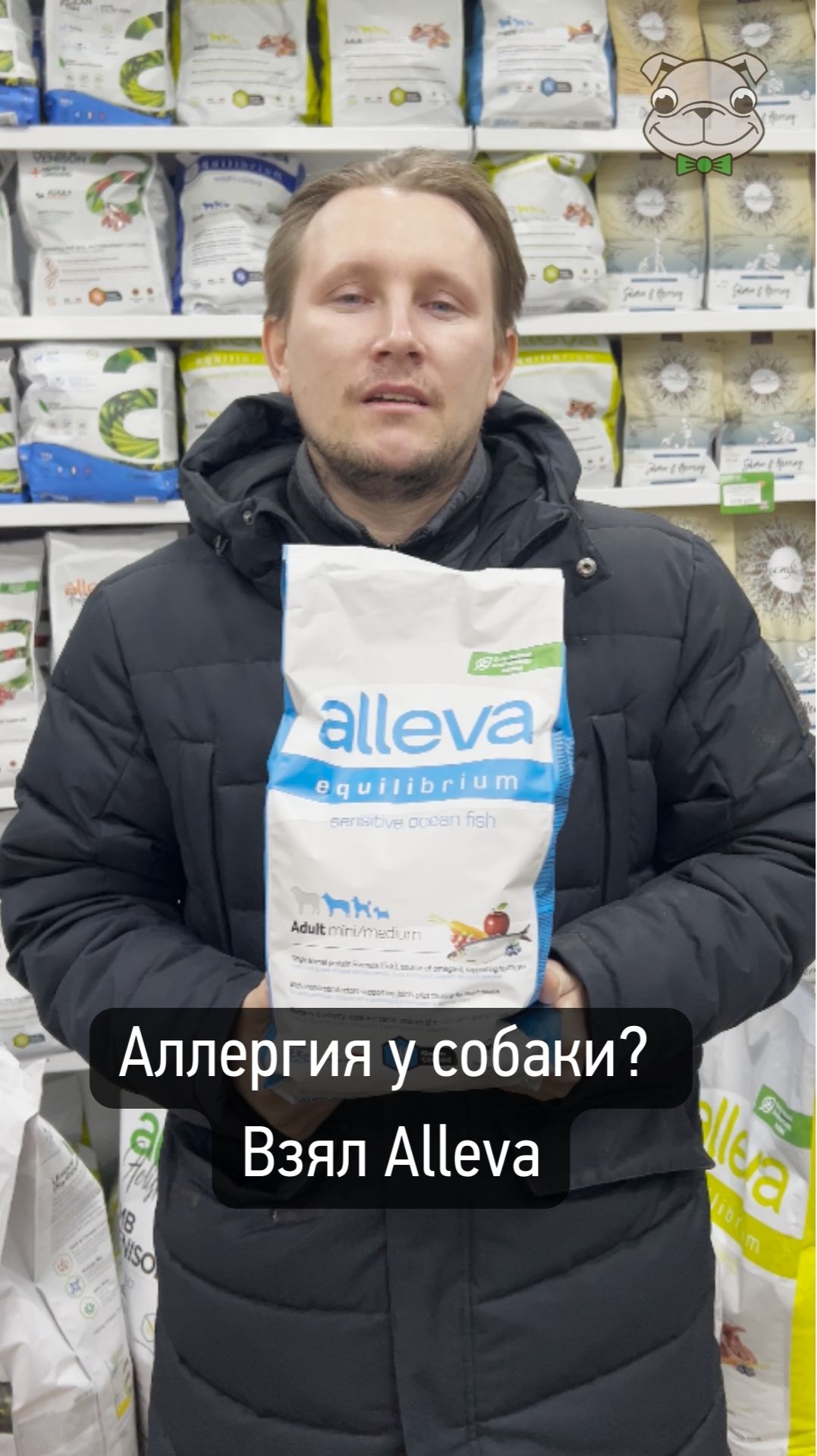 Аллергия у собаки: как я выбрал корм Alleva по совету Мистер Гав