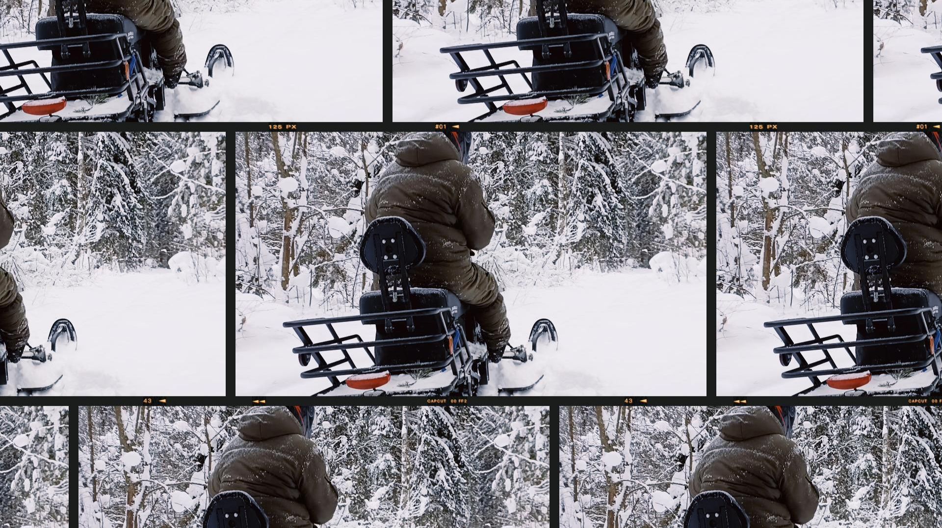 Невероятные приключения Борискиных в лесу))