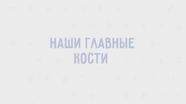 3.03 - Наши главные кости