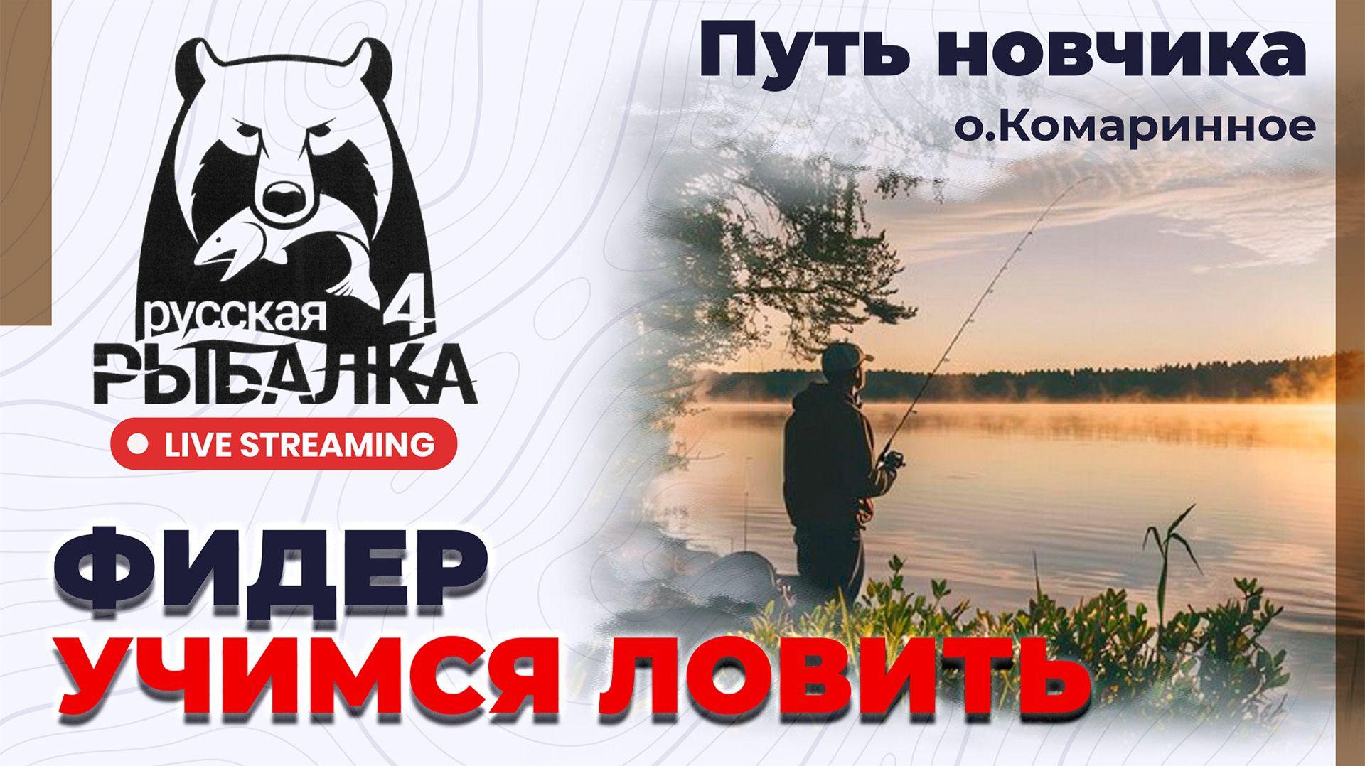 Русская Рыбалка 4: Фидер - Путь новичка #russianfishing4 #русскаярыбалка4