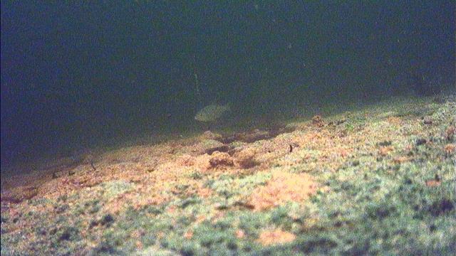 FILE190101-054335-000037F