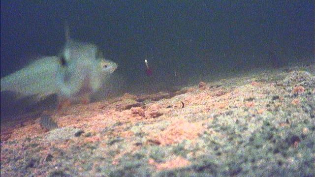 FILE190101-055644-000038F