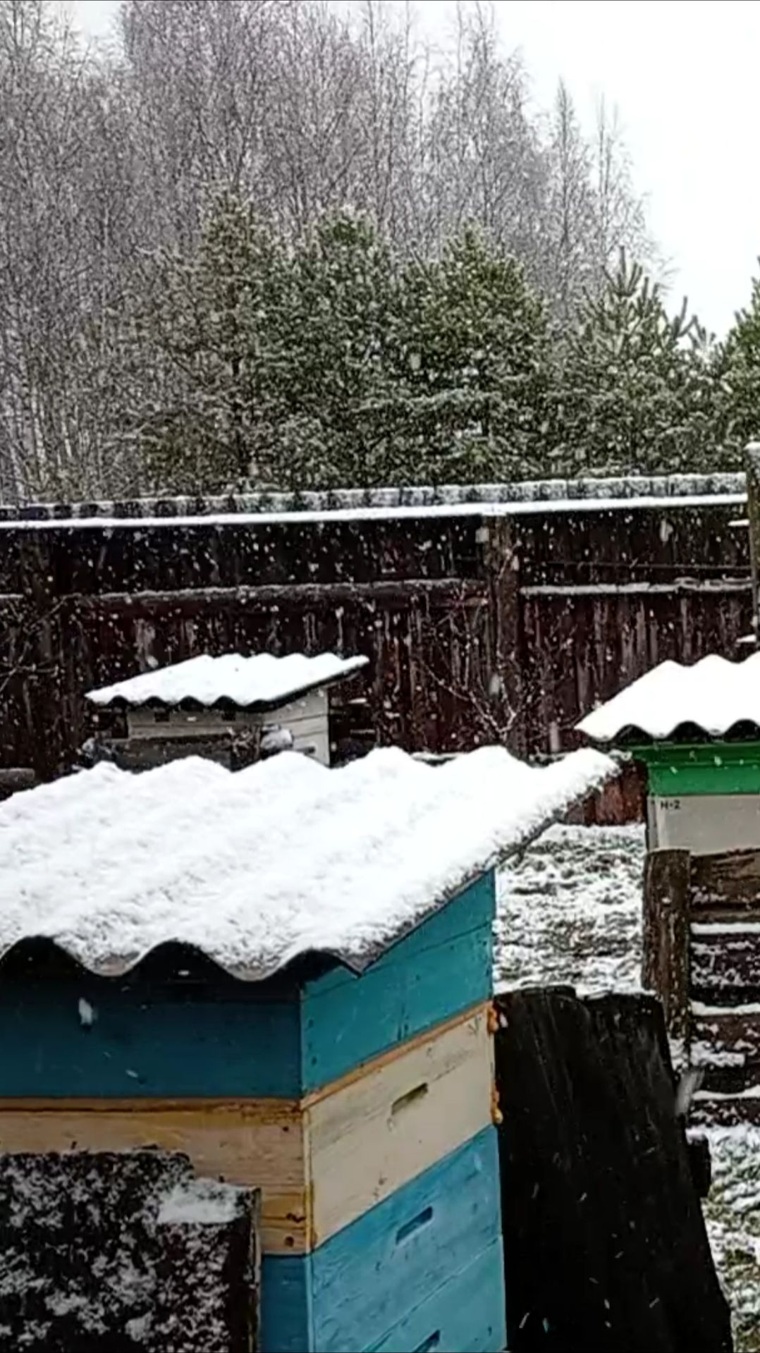 Первый Снег (15.11.2025 года)