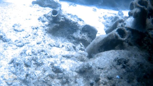 амфора, дайвинг в Каш Турция